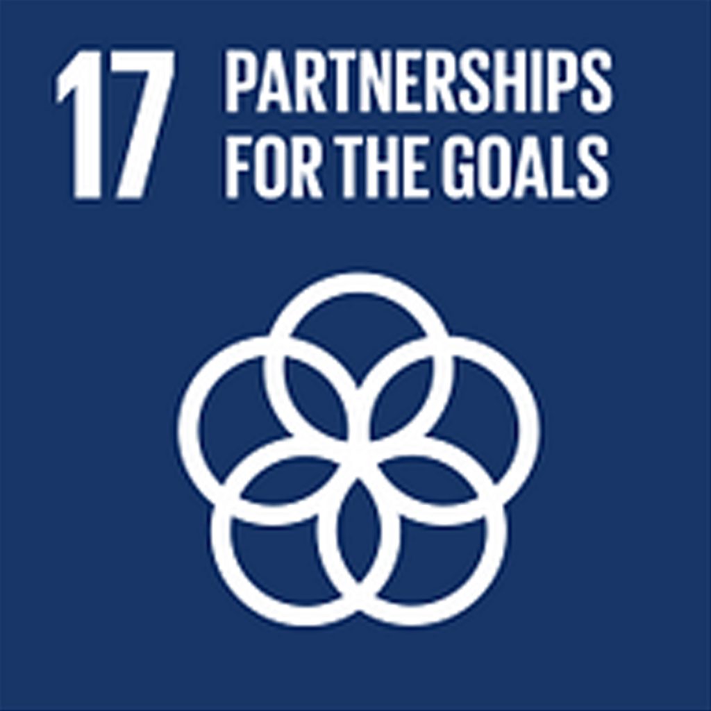 17 – Partnerships for the Goals - Chennai Institute of Technology